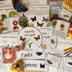 Spring MEGA Bundle - Etsy