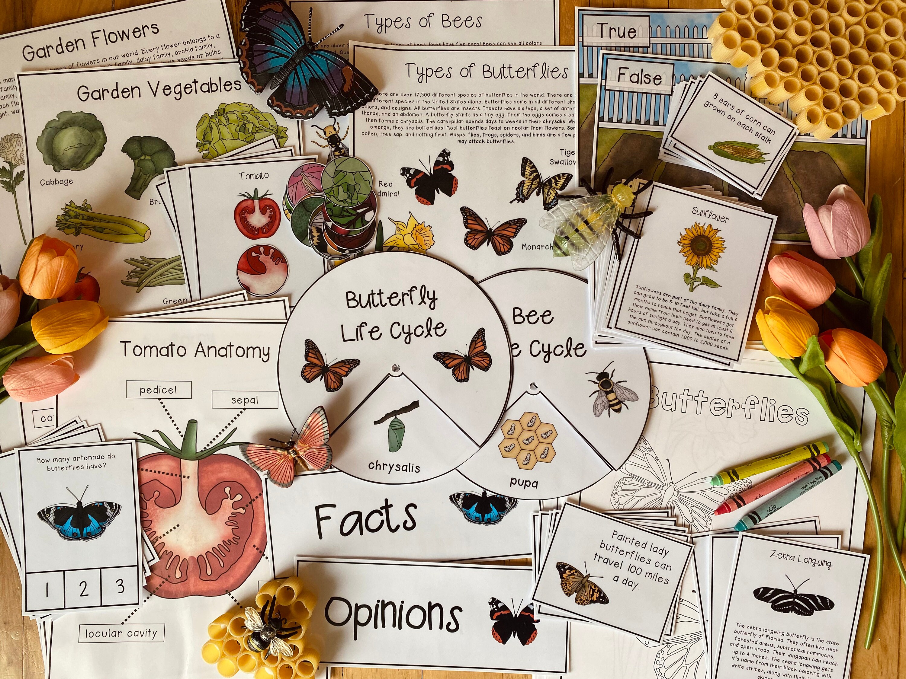 Spring MEGA Bundle - Etsy