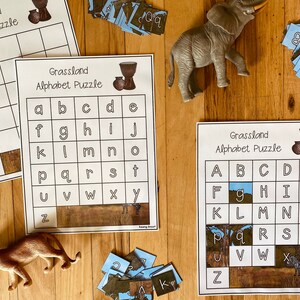 Grassland Animals Unit: Literacy Pack - Etsy