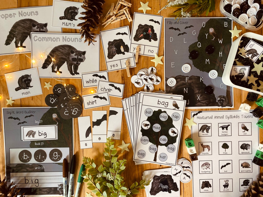Nocturnal Animals Unit: Literacy Pack - Etsy