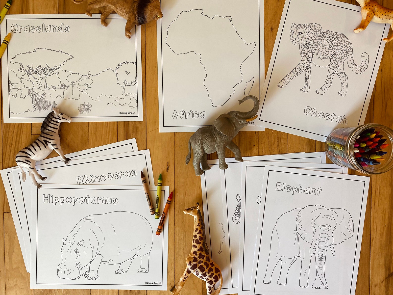 Grassland Animals Coloring Pages - Etsy