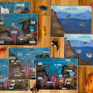 Ocean Unit: Science Pack - Etsy
