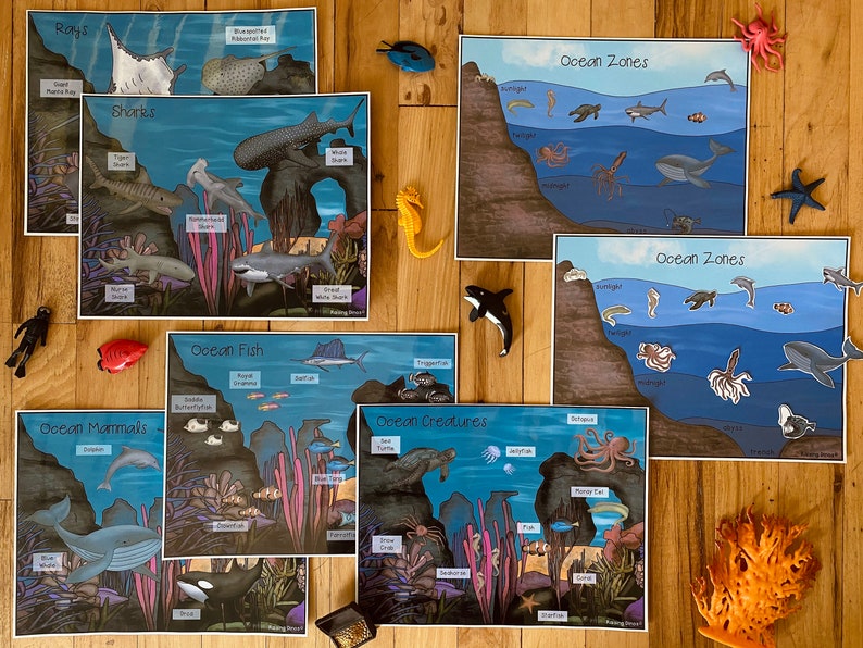 Ocean Unit: Science Pack - Etsy