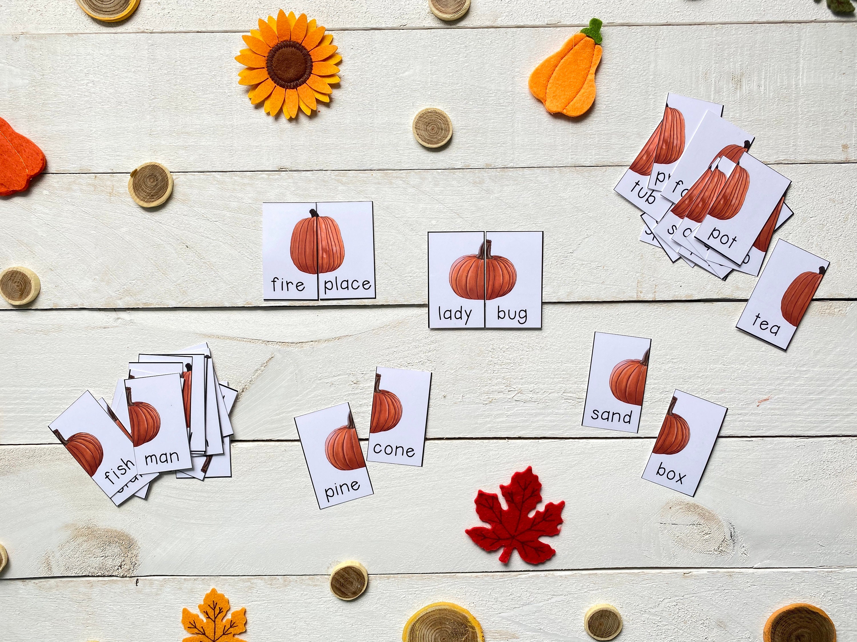 Fall Unit: Literacy Pack | Etsy