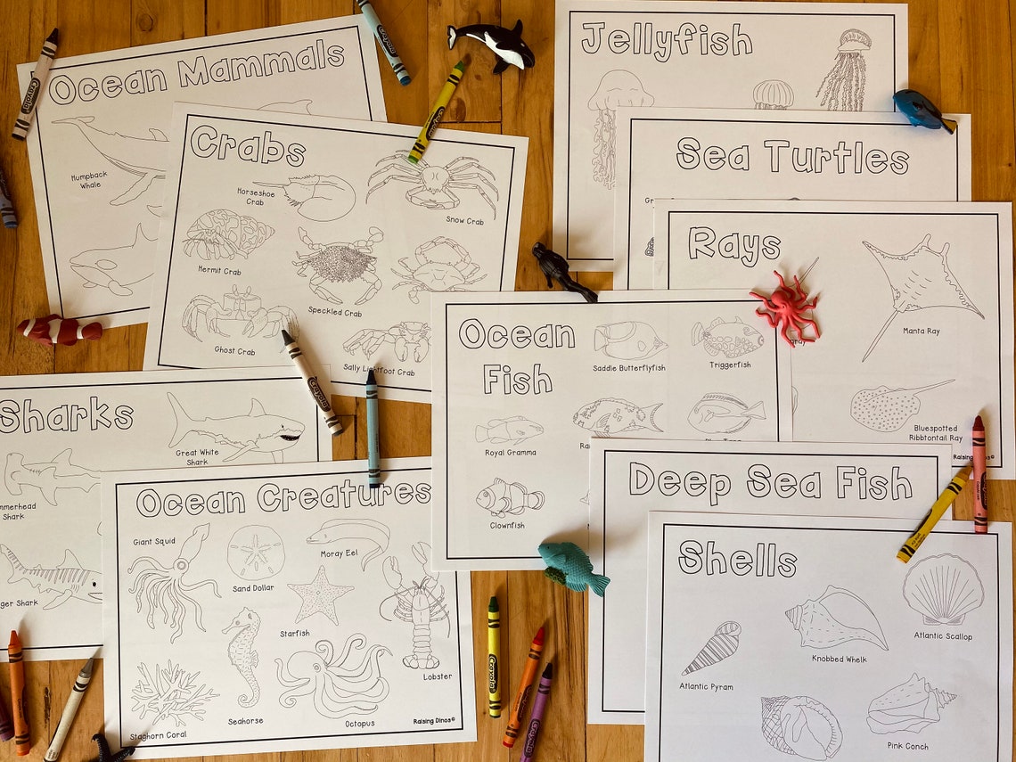 Ocean Unit: Science Pack | Etsy