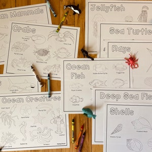 Ocean Unit: Science Pack - Etsy