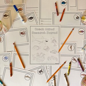 Ocean Unit: Science Pack - Etsy