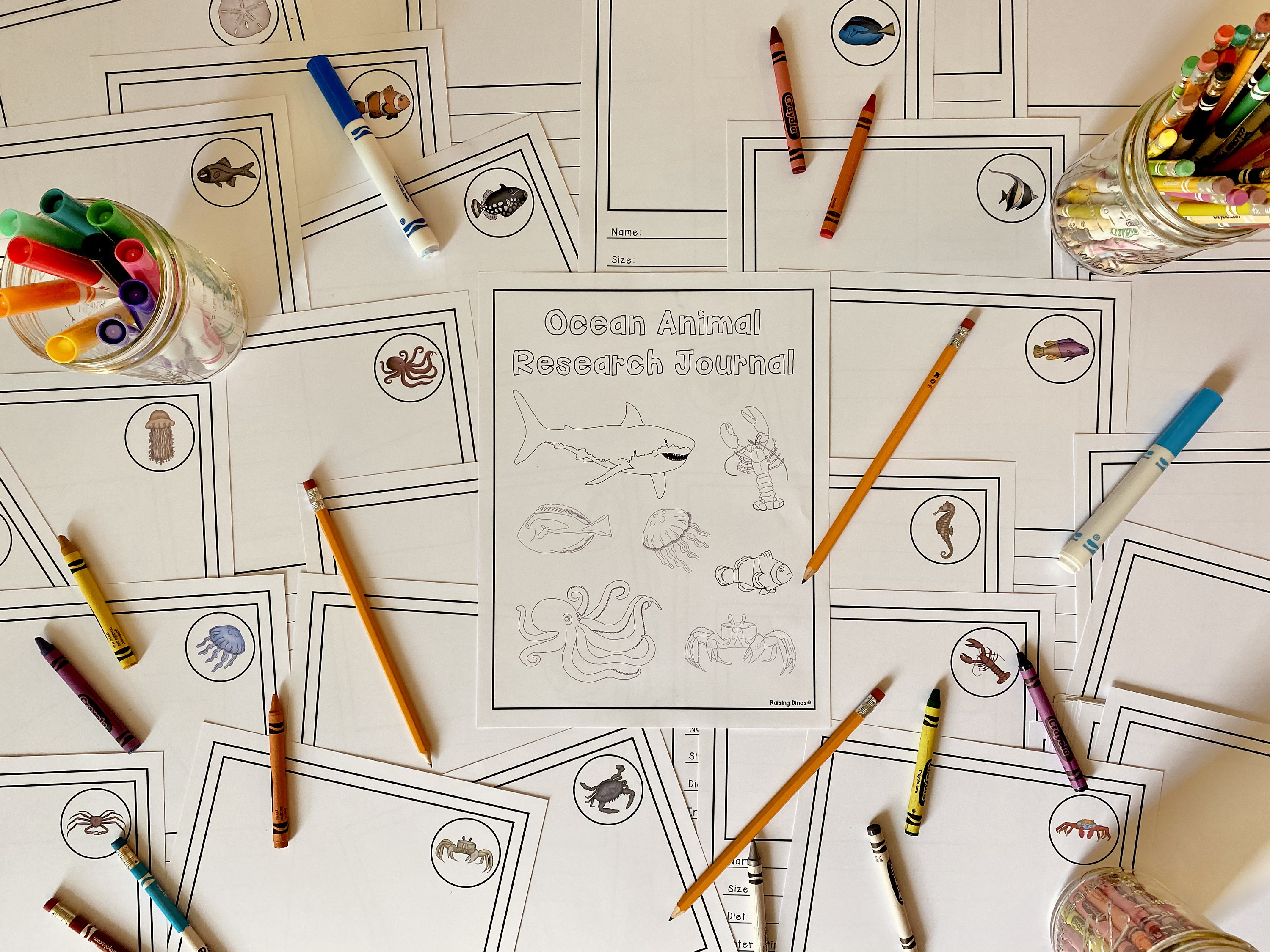 Ocean Unit: Science Pack | Etsy