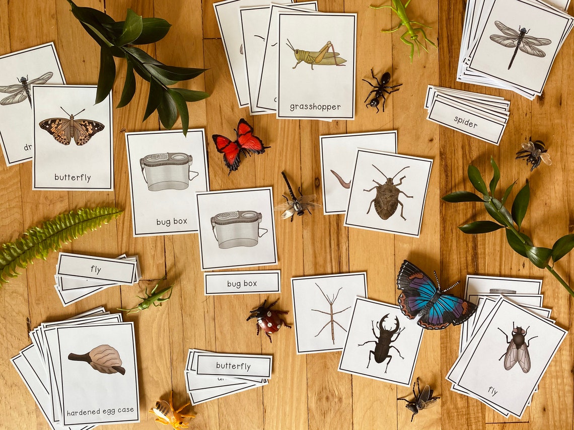 Bug Unit: Science Pack - Etsy Canada