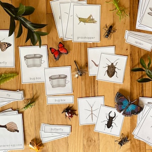 Bug Unit: Science Pack - Etsy