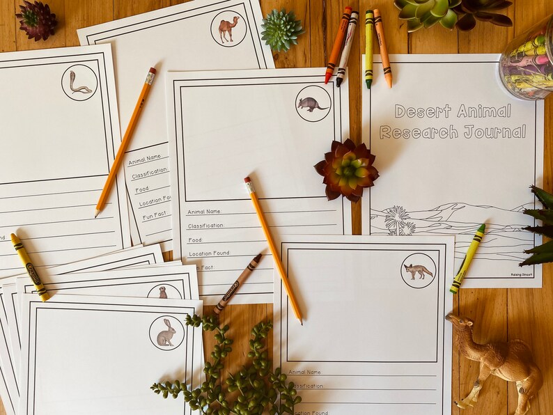 Desert Unit Bundle - Etsy