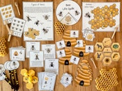 Life Cycle of a Honey Bee Printable, Bee Science Unit Study, Honey Bee ...