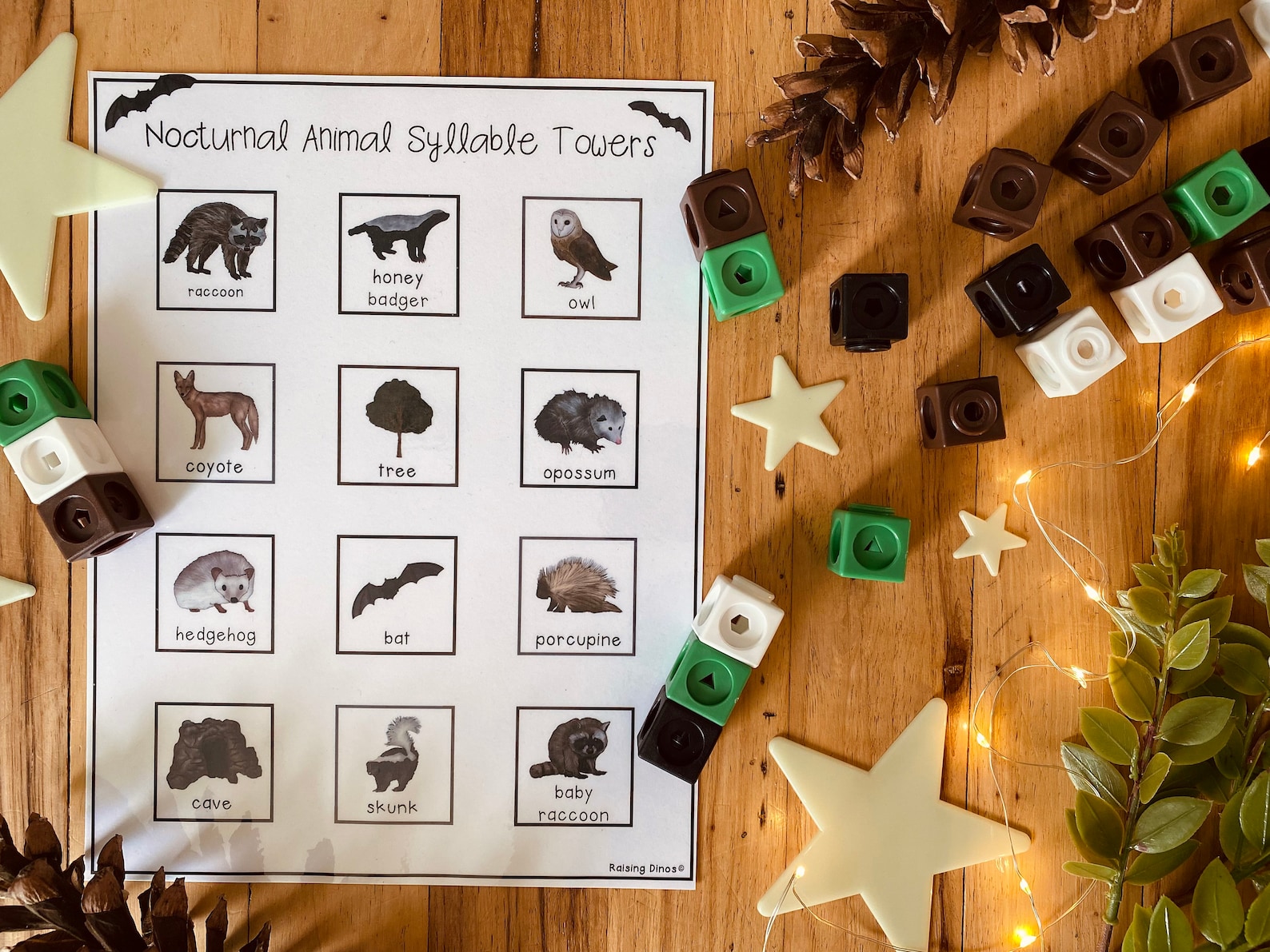 Nocturnal Animals Unit Bundle | Etsy