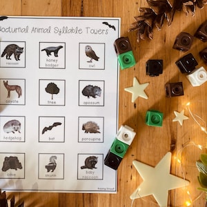 Nocturnal Animals Unit Bundle - Etsy