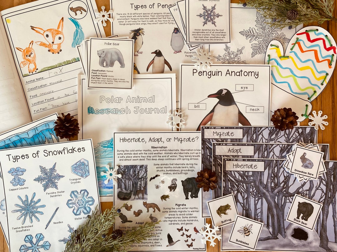 Winter Science Bundle - Etsy