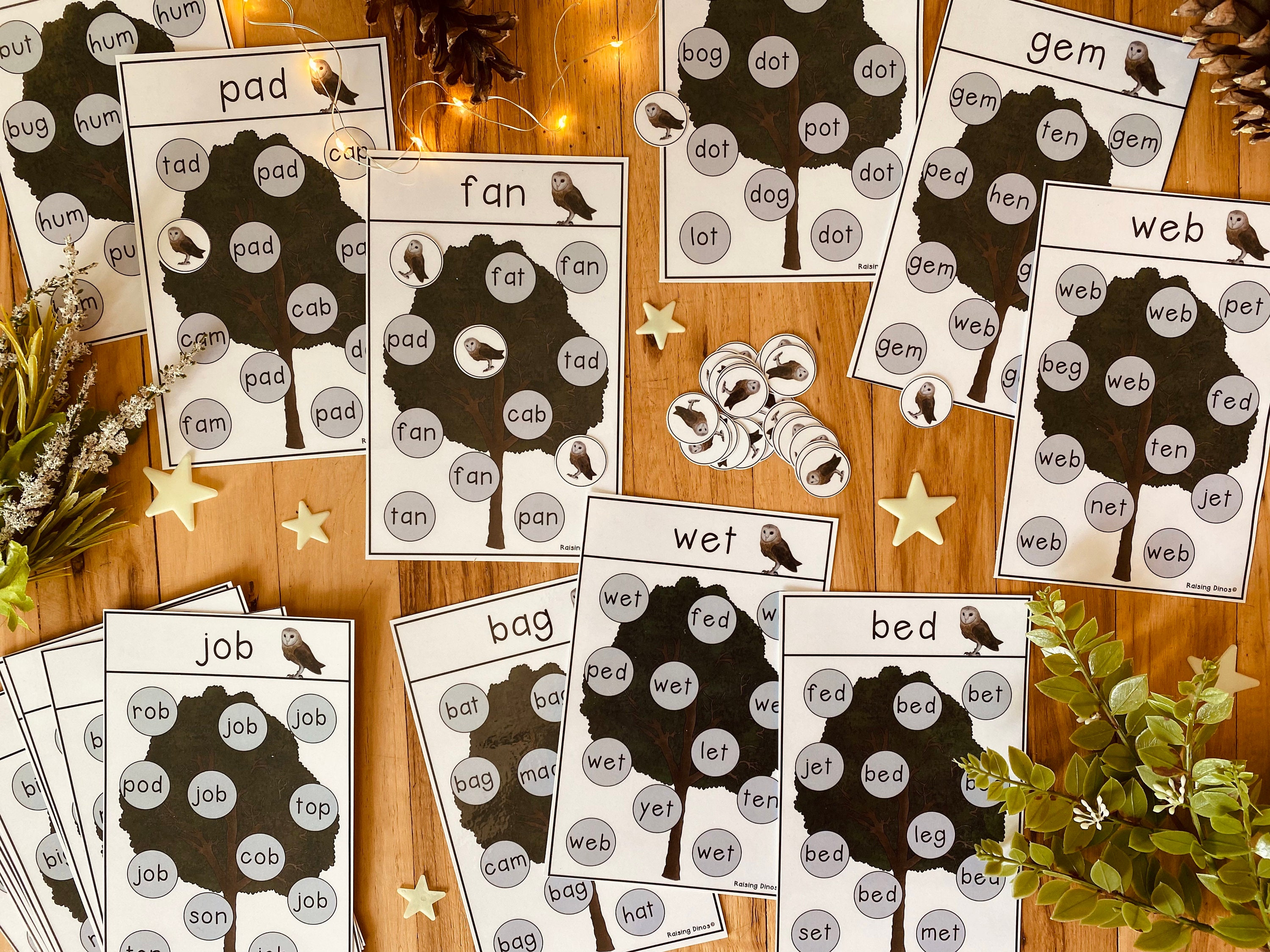 Nocturnal Animals Unit: Literacy Pack | Etsy