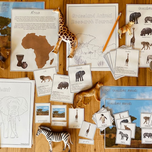 Grassland Animals Unit: Science Pack - Etsy