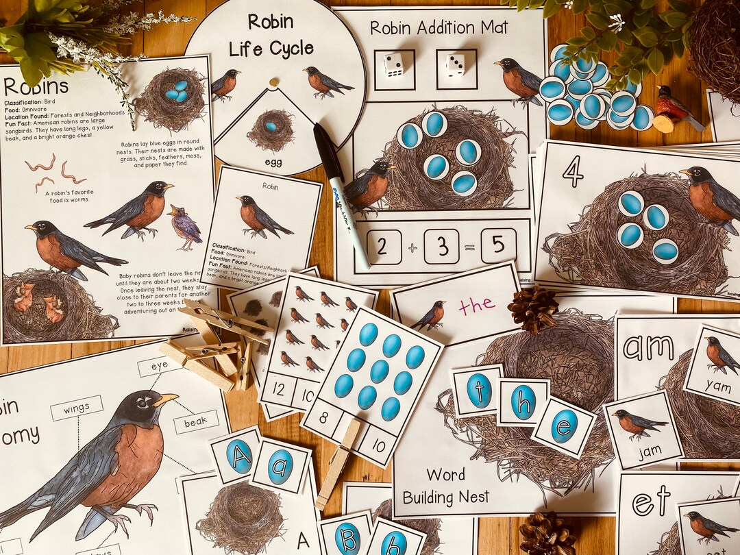 Robin Mini Study - Etsy