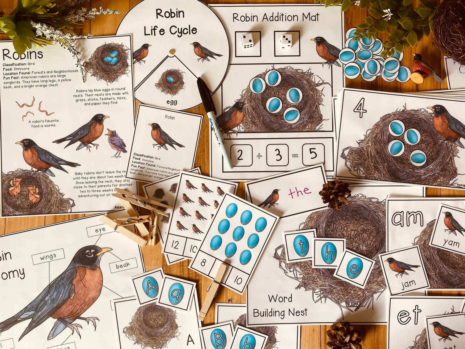 Robin Mini Study - Etsy