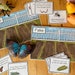 Garden Unit: Science Pack - Etsy
