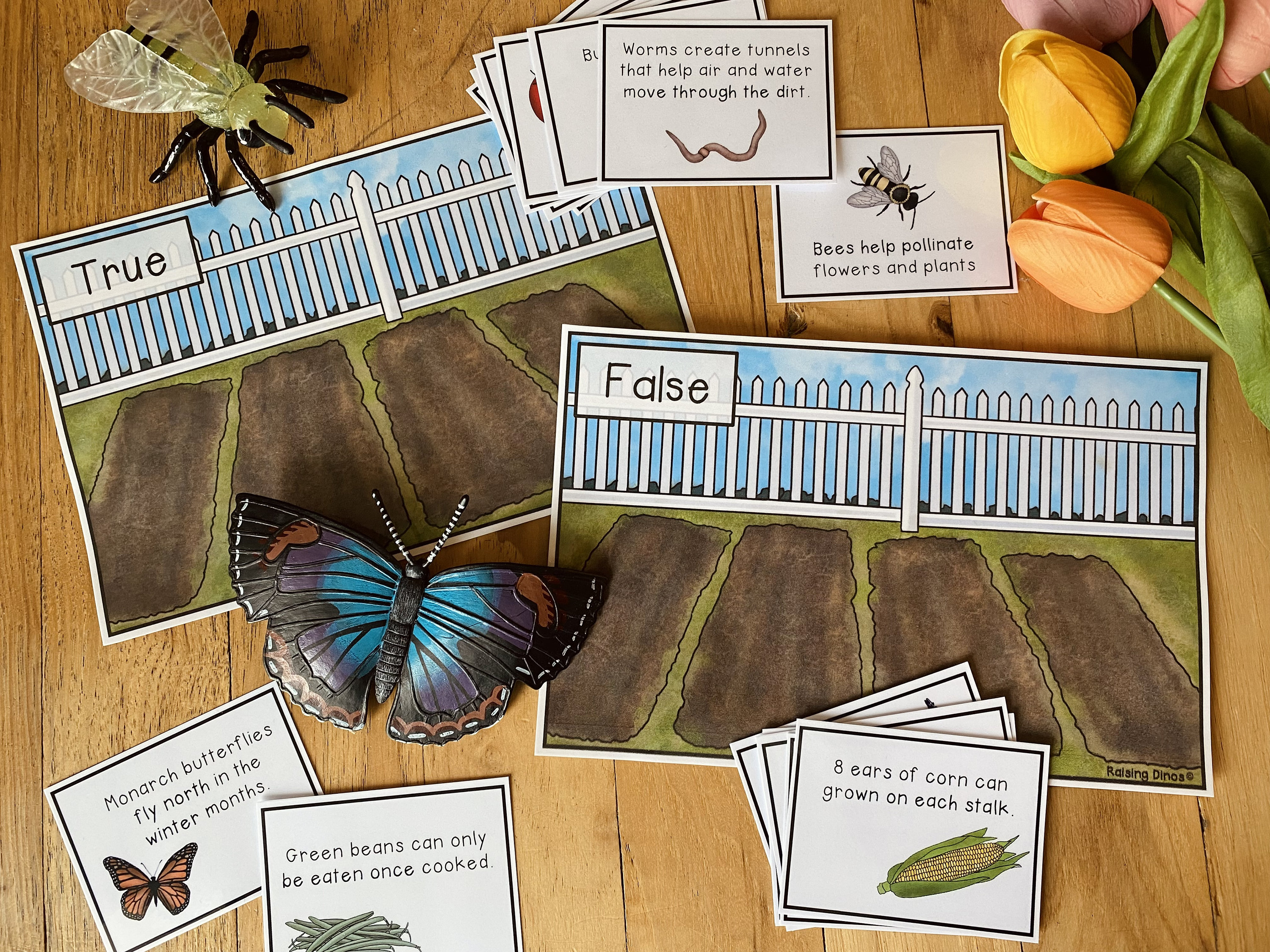 Garden Unit: Science Pack - Etsy