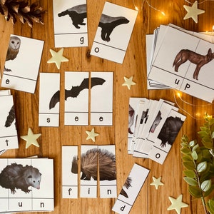 Nocturnal Animals Unit Bundle - Etsy