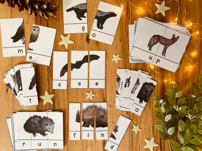 Nocturnal Animals Unit Bundle - Etsy