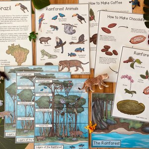 Rainforest Unit Bundle - Etsy