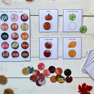 Fall Unit: Science Pack - Etsy