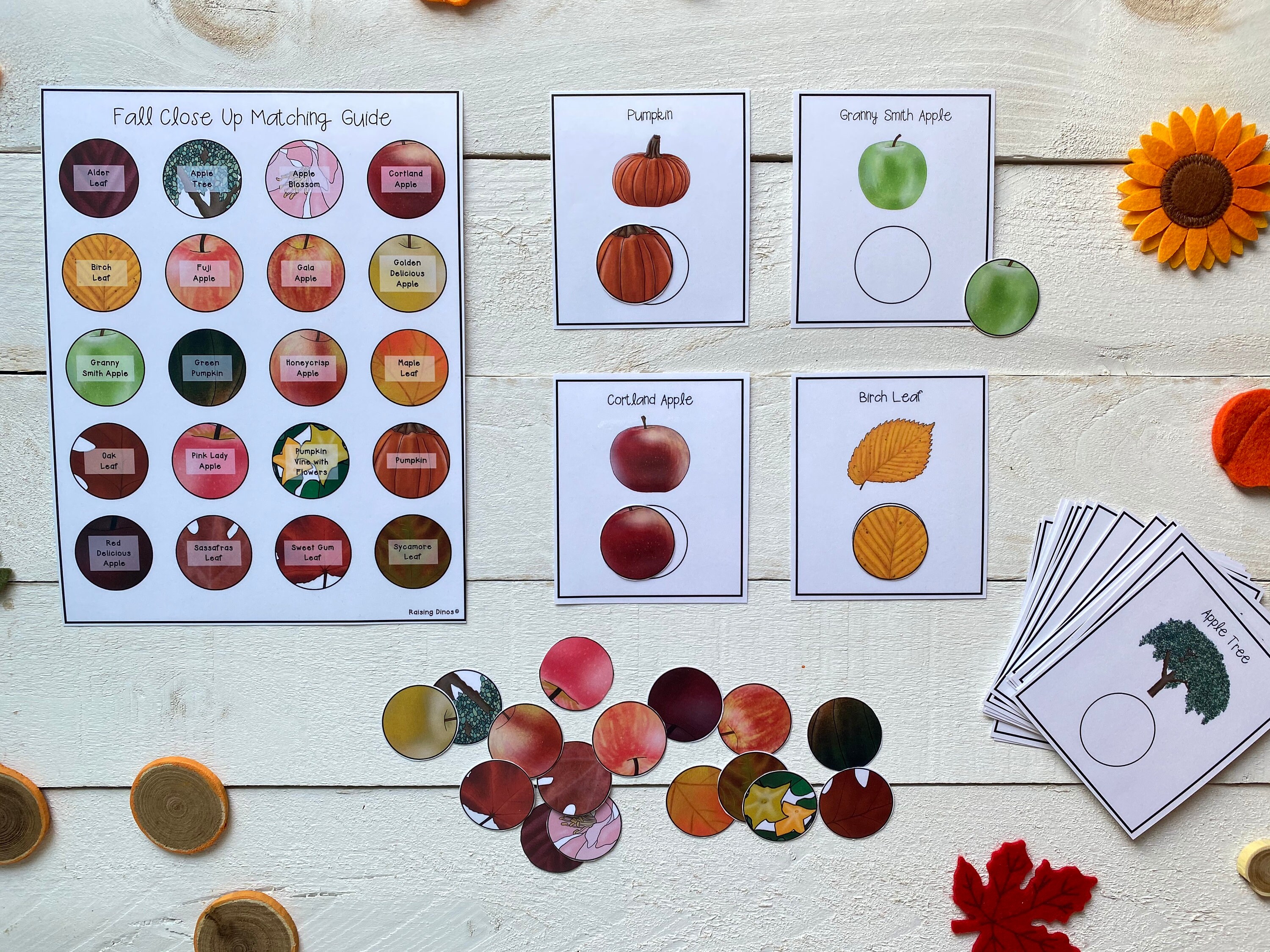 Fall Unit: Science Pack | Etsy