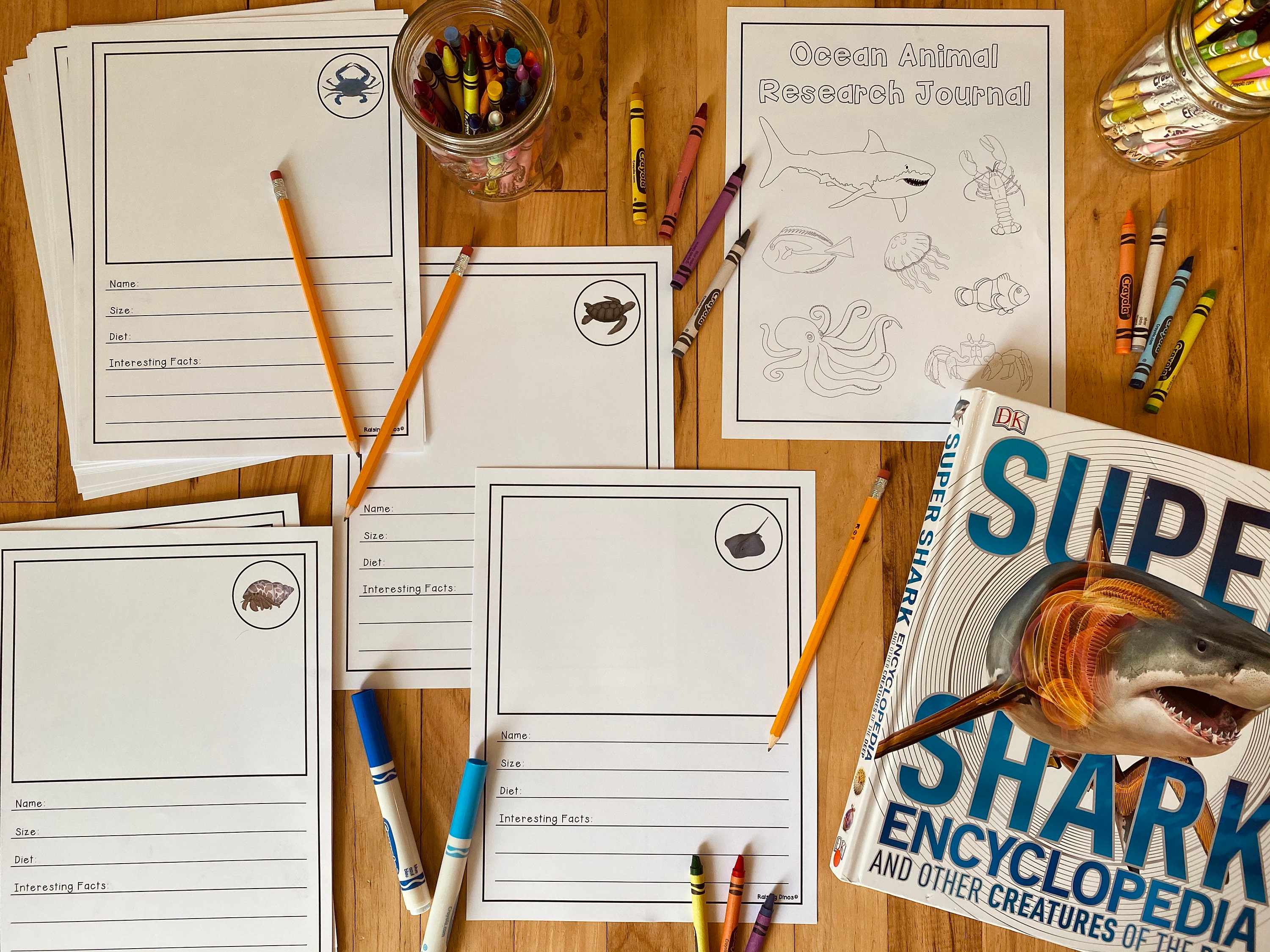 Ocean Unit: Science Pack | Etsy