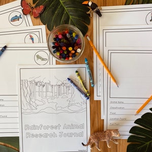 Rainforest Unit Bundle - Etsy