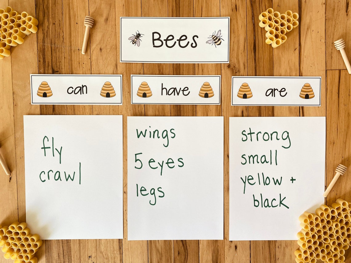 Bee Unit: Science Pack - Etsy