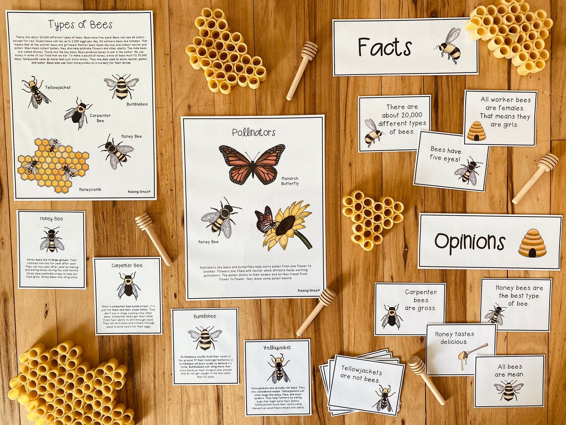 Bee Unit: Science Pack - Etsy
