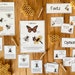 Bee Unit: Science Pack - Etsy