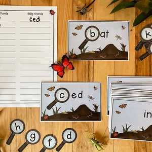 Bug Unit Bundle - Etsy