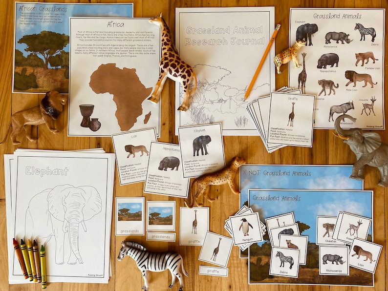 Grassland Animals Unit Bundle - Etsy