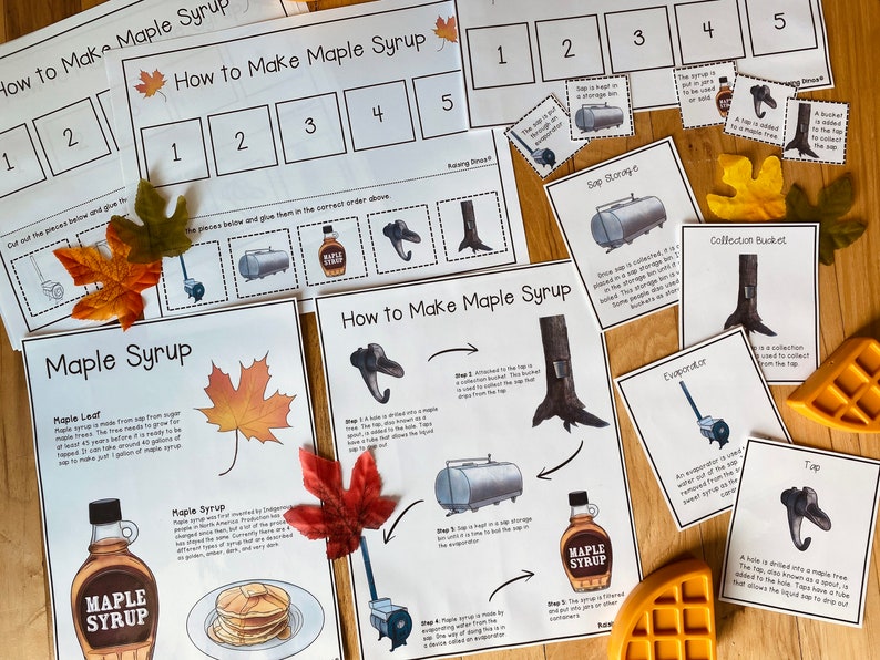 Maple Syrup Mini Study - Etsy