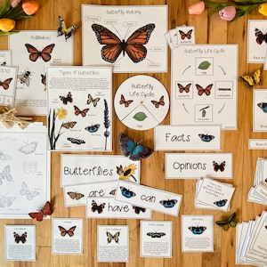 Butterfly Unit: Science Pack - Etsy