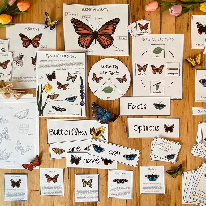 Pollinator Education - Etsy