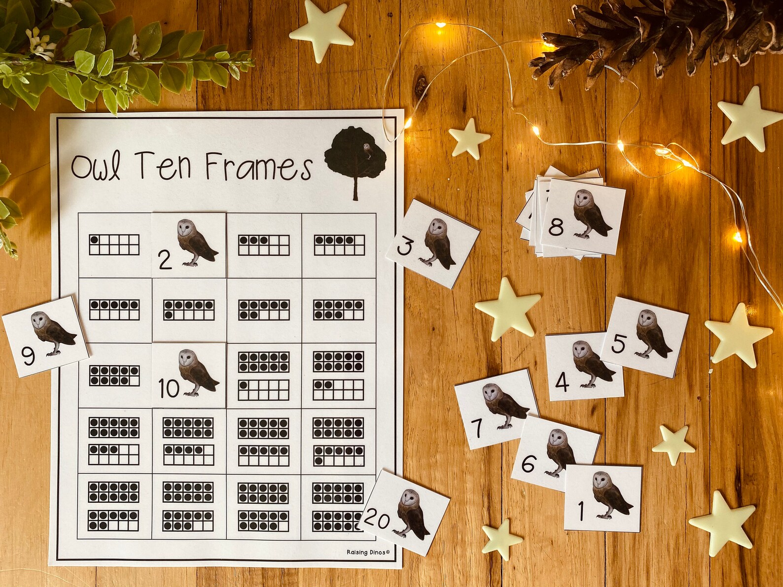 Nocturnal Animals Unit Bundle - Etsy