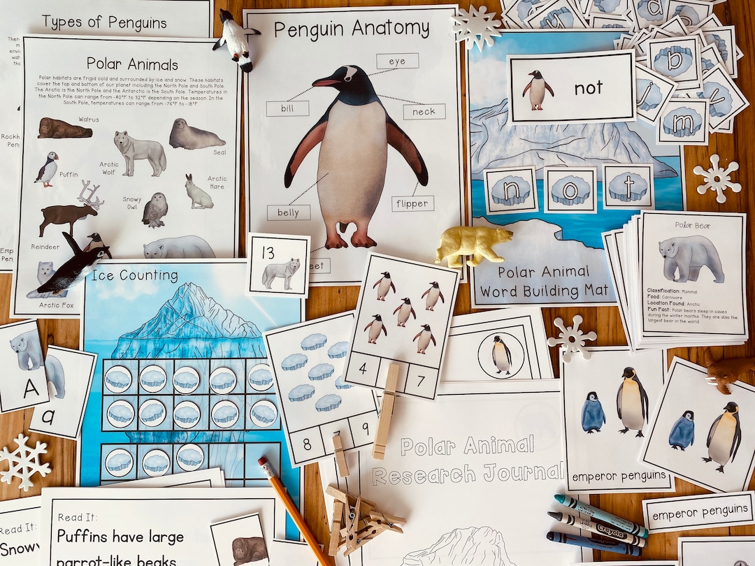 Polar Animal Mini Study - Etsy