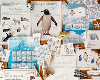 Antarctica Unit Study - Etsy