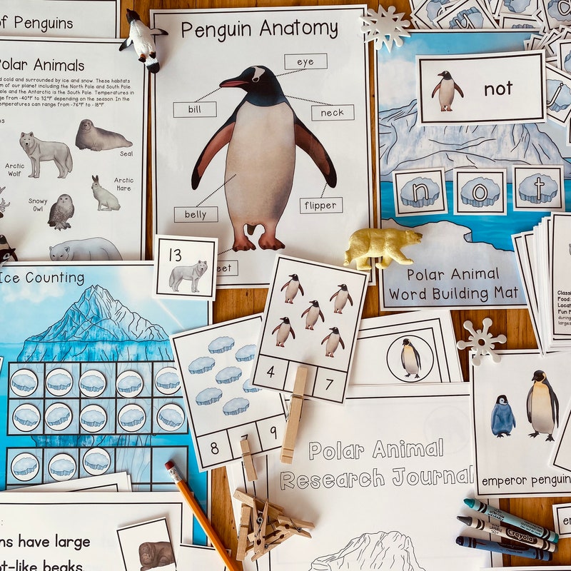 Polar Animals - Etsy