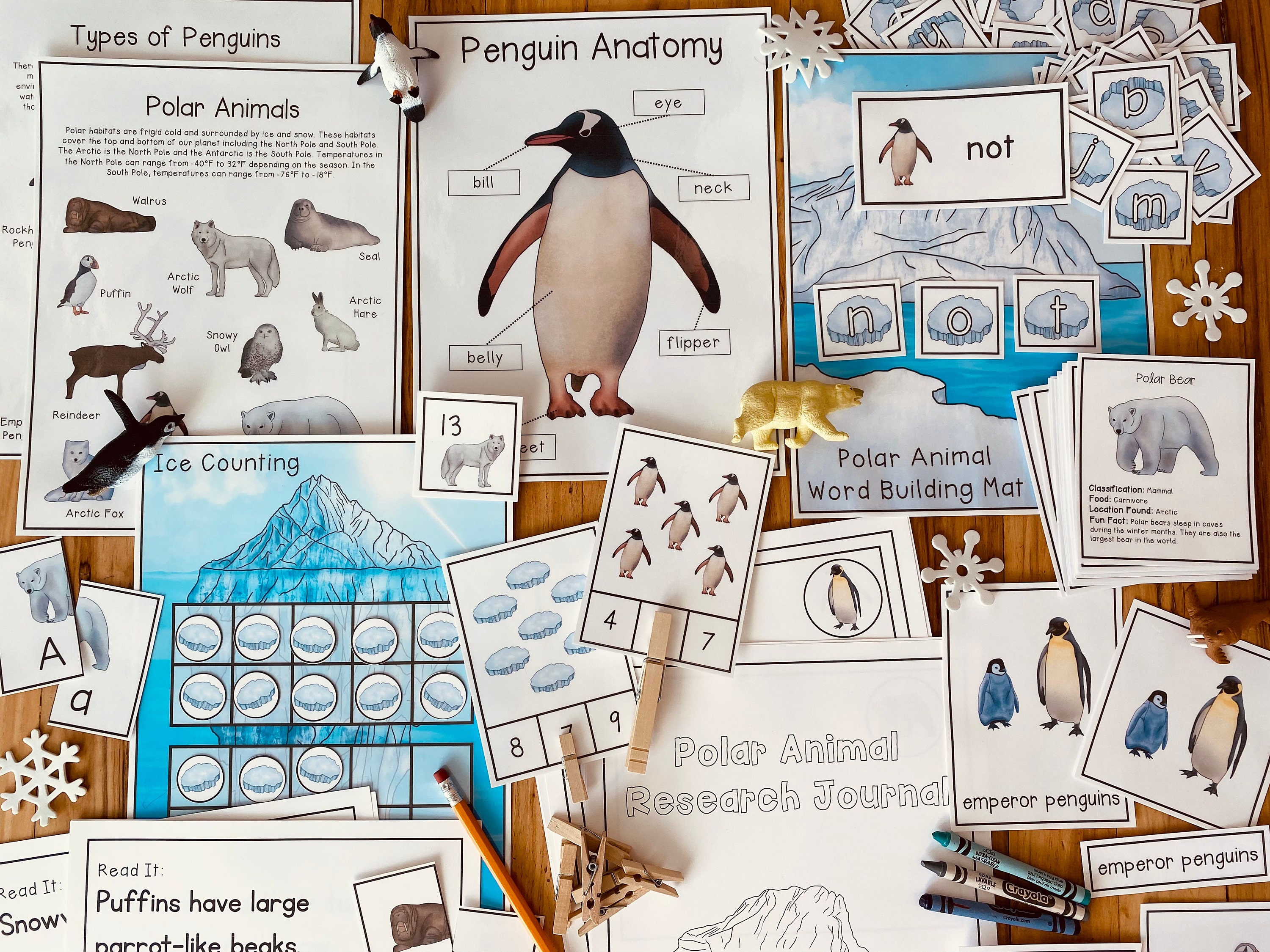 Polar Animal Mini Study | Etsy