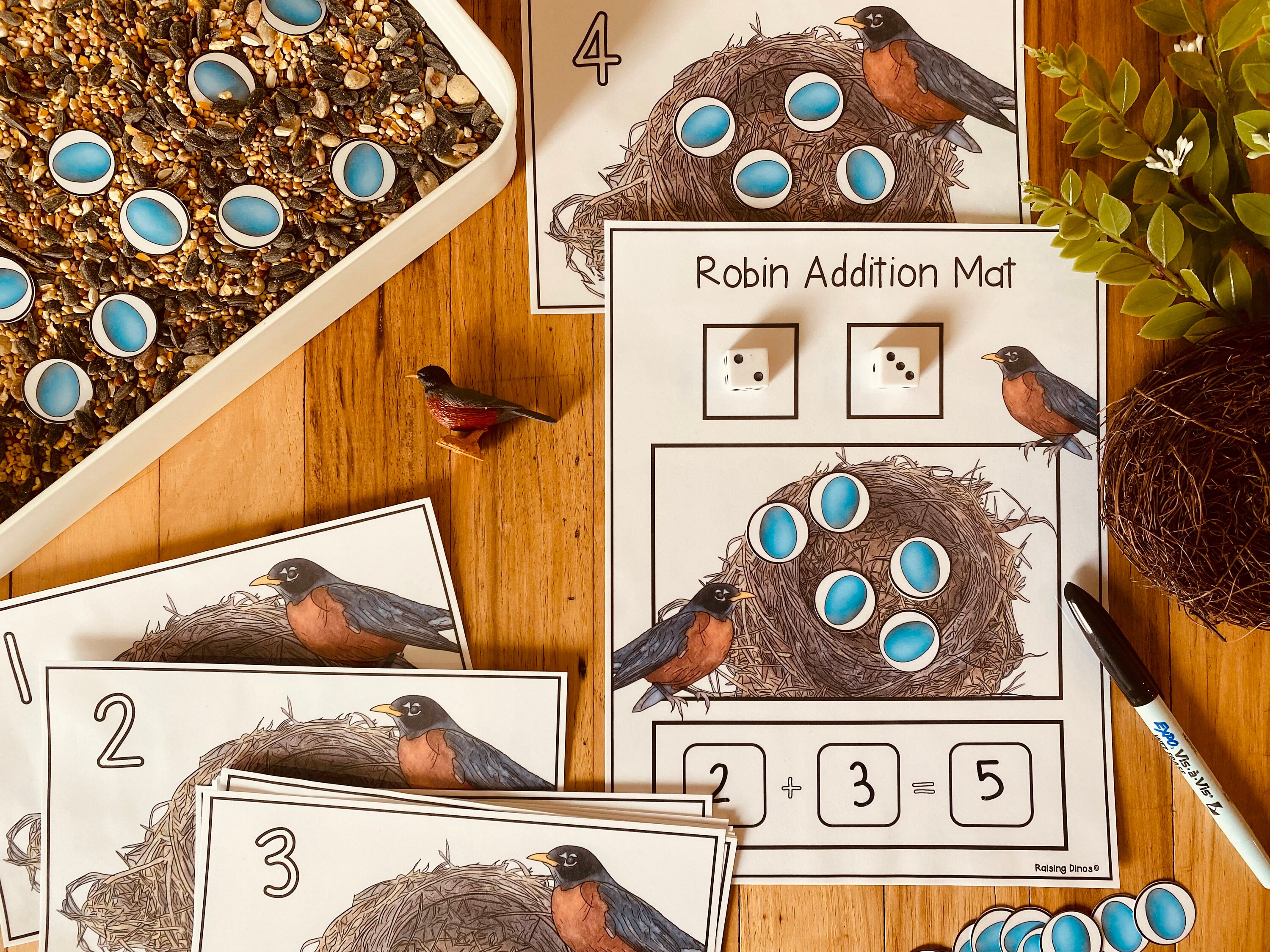 Robin Mini Study - Etsy