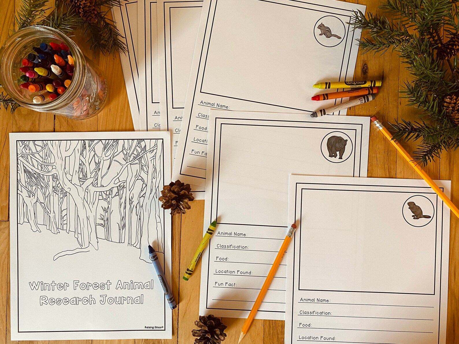 Winter Forest Unit: Science Pack | Etsy