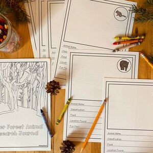 Winter Forest Unit: Science Pack - Etsy