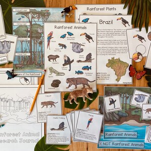 Rainforest Unit Bundle - Etsy