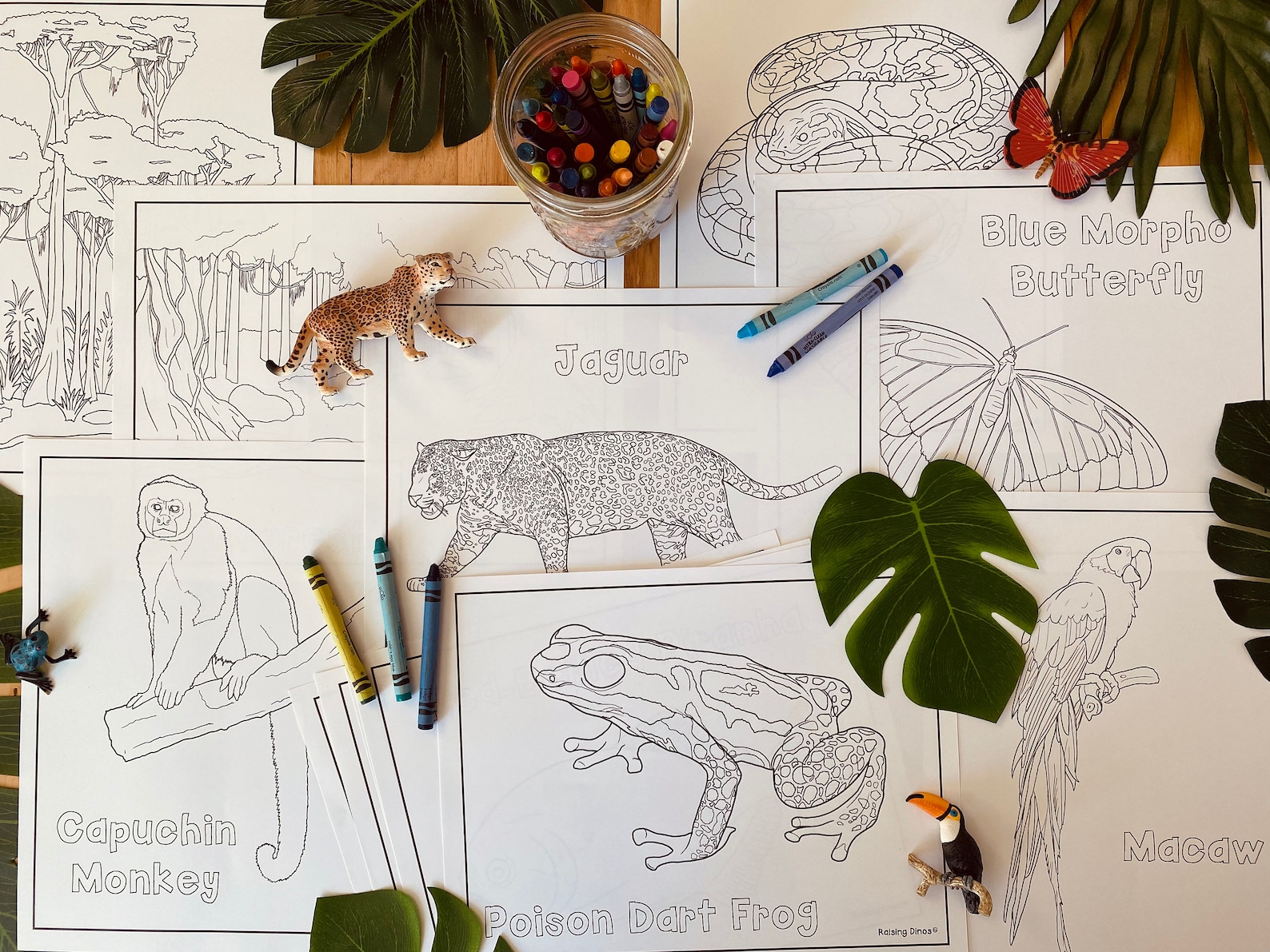 Rainforest Unit Bundle - Etsy